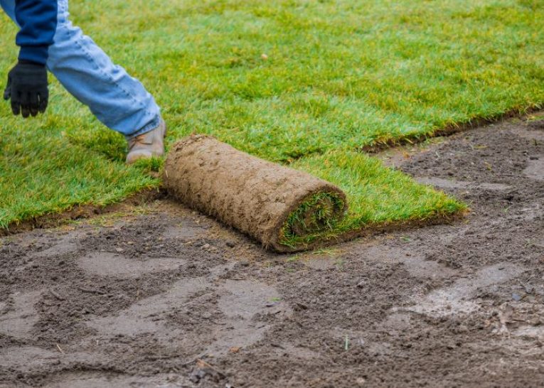 Gazon en plaque : prix, pose et entretien du gazon - abctravaux.org ...