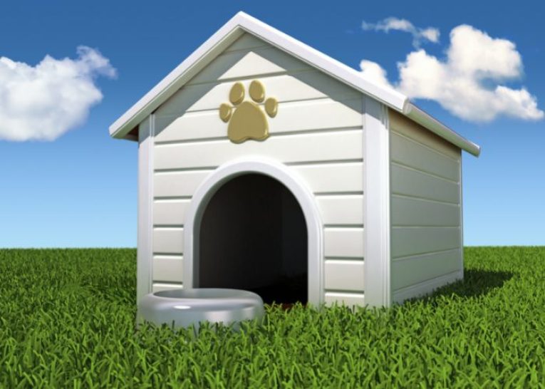 Niches d’intérieur pour chien : quels sont leurs atouts