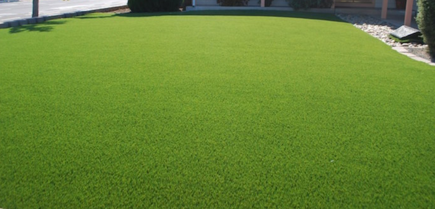 Gazon anglais : propriétés, entretien et prix