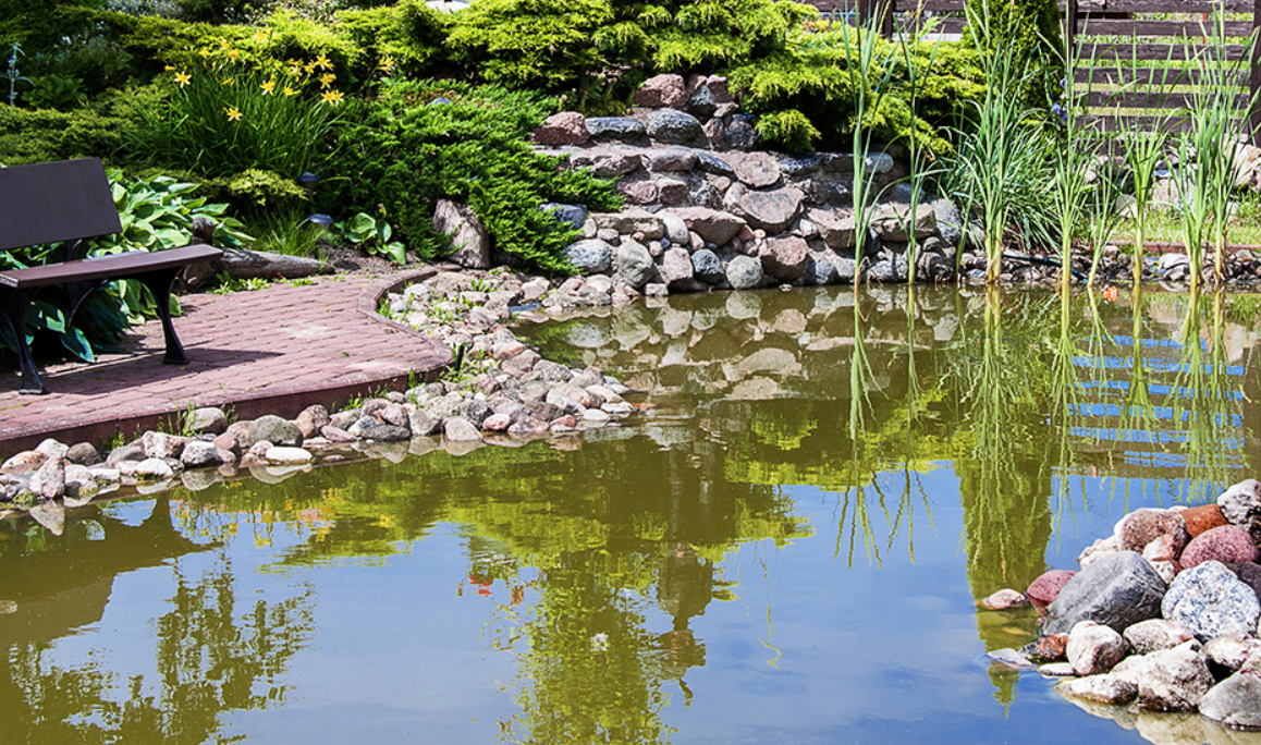 Bassin de jardin : kit préformé et accessoires pas chers